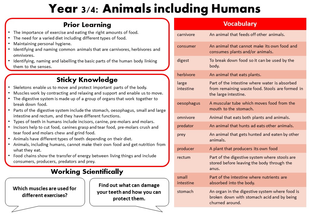 Science Knowledge Mats